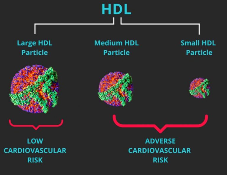 Cardiovascular Disease Uncovered Beyond the Lipid Panel – Part One ...